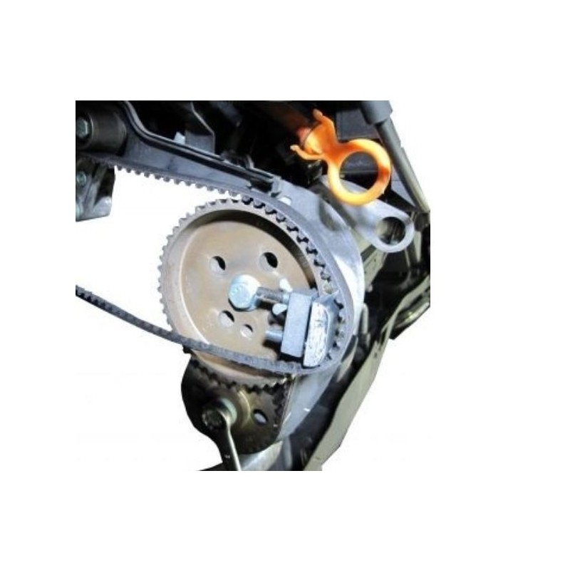 Elastic ribbed belt assembly kit